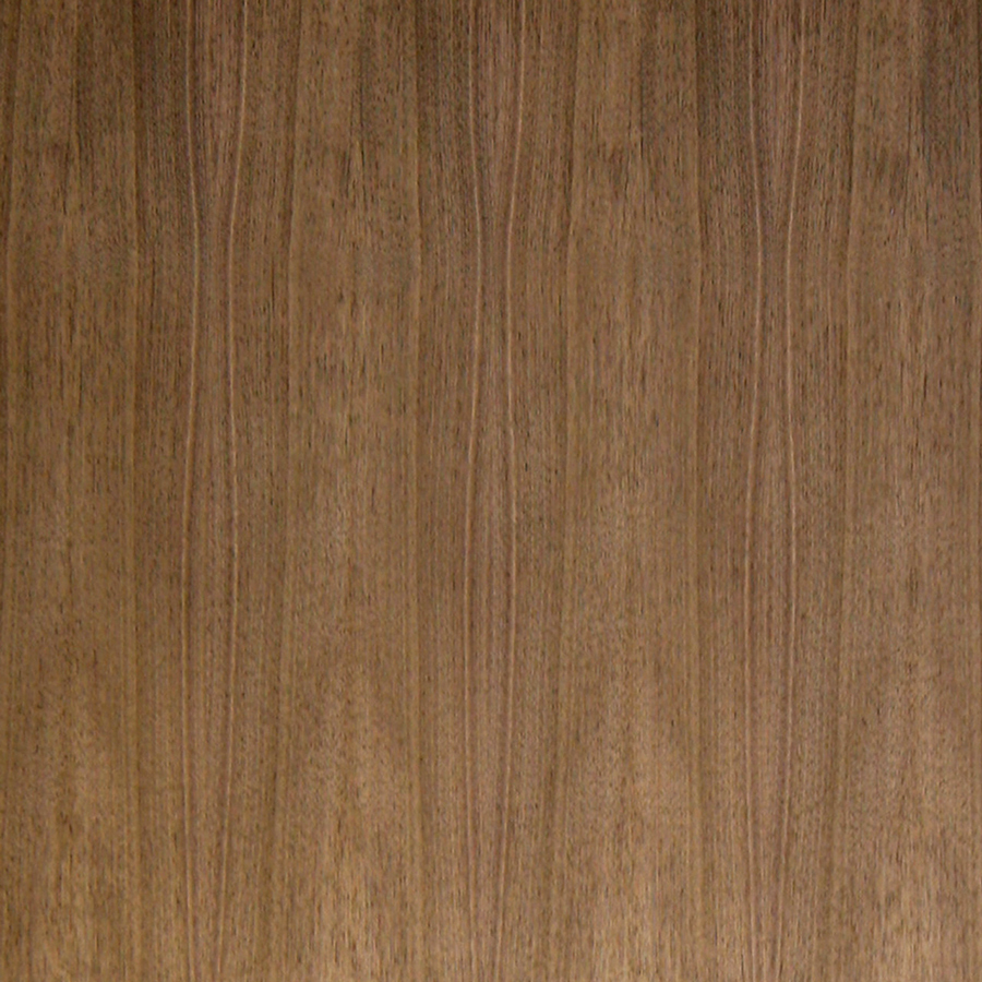 Ready///Able - Bold+