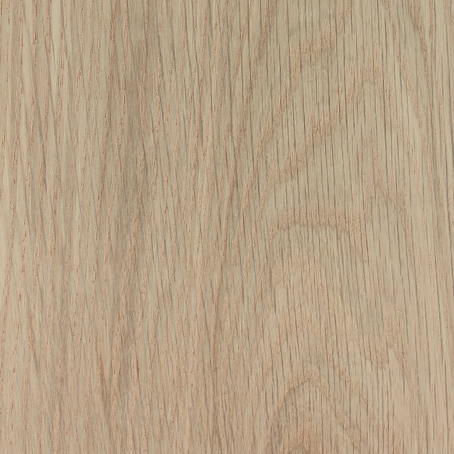 Ready///Able - Bold+