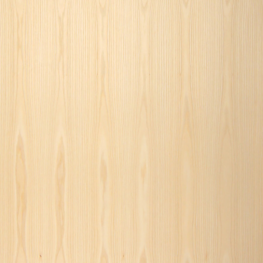 Ready///Able - Bold+